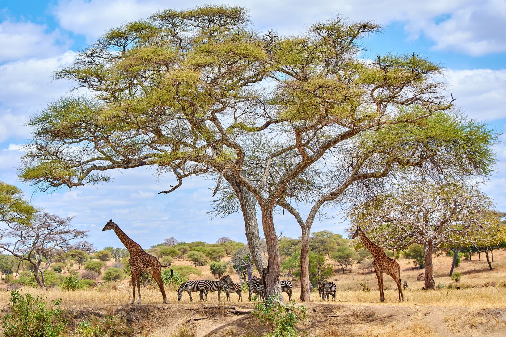 Lake Manyara All-inclusive dovolená - Nejlevnější zájezdy s odletem z ...