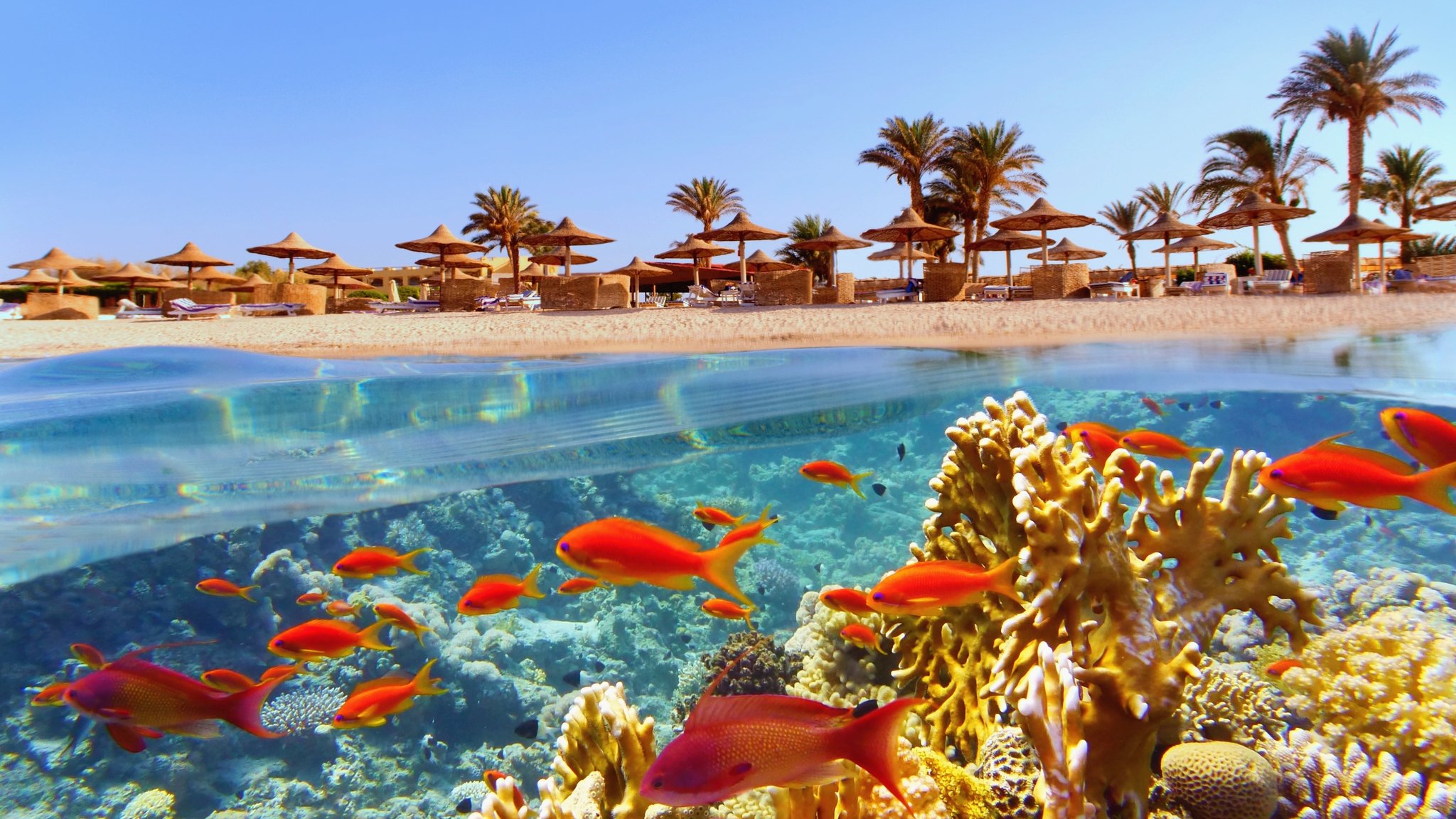 Zájezd do Egypta z Prahy na týden do 4* resortu s ALL INCLUSIVE za 7 ...