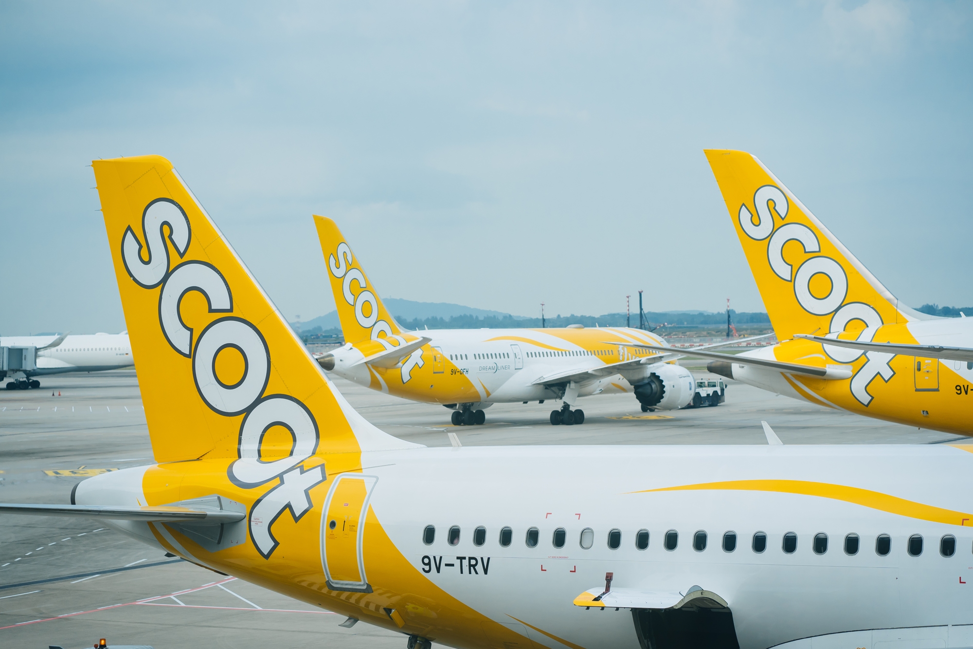 Scoot - Služby během letu 2025